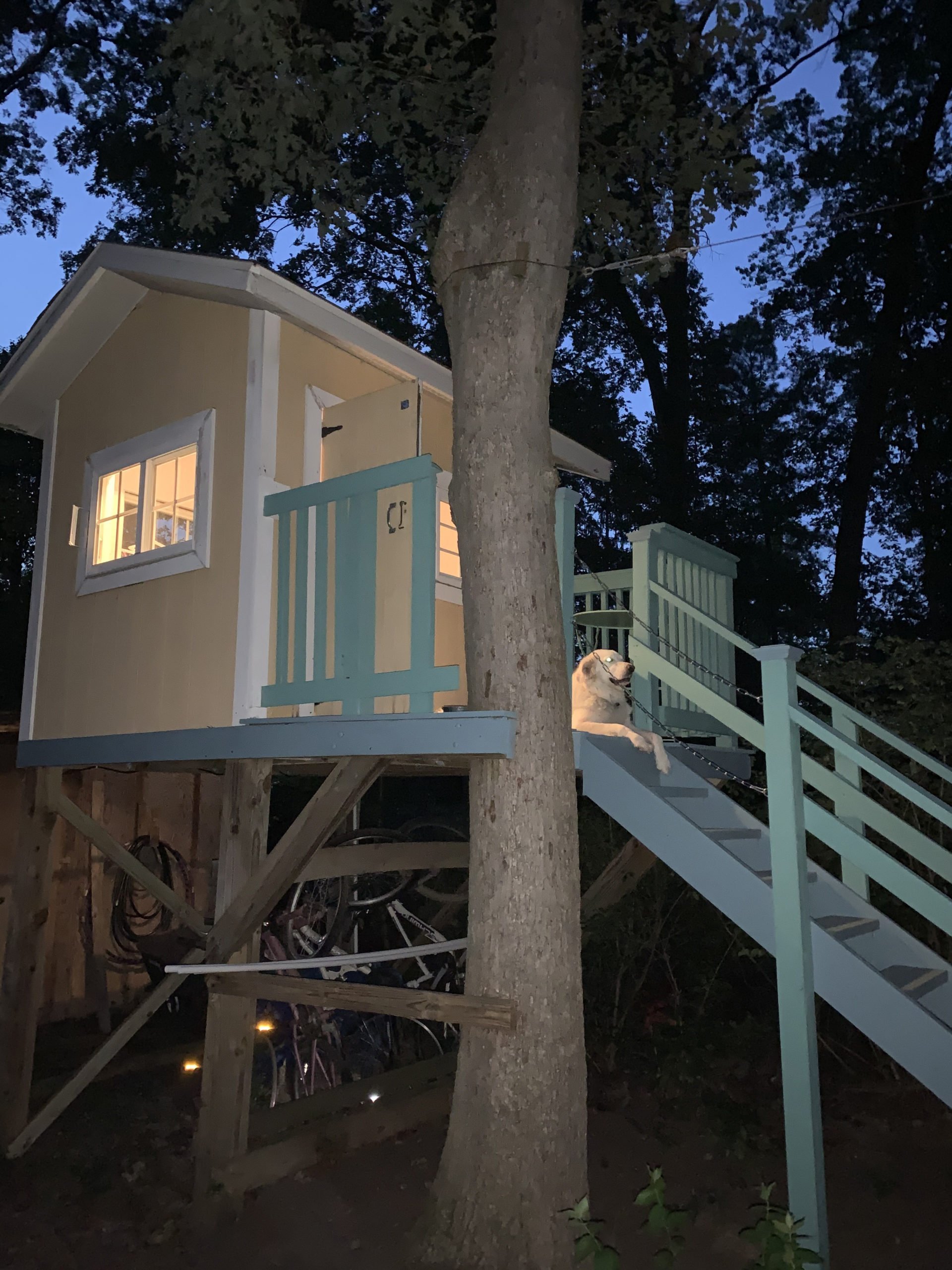 Haycock Elementary Teacher Turns Old Treehouse Into Classroom - Falls ...